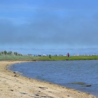 Human Rights History – Dr. Meredith Terretta